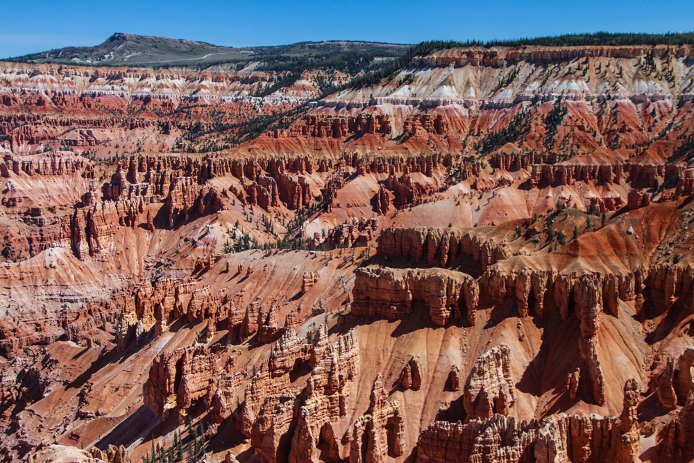 Cedar Mountain / Markagunt Plateau Guided Tour