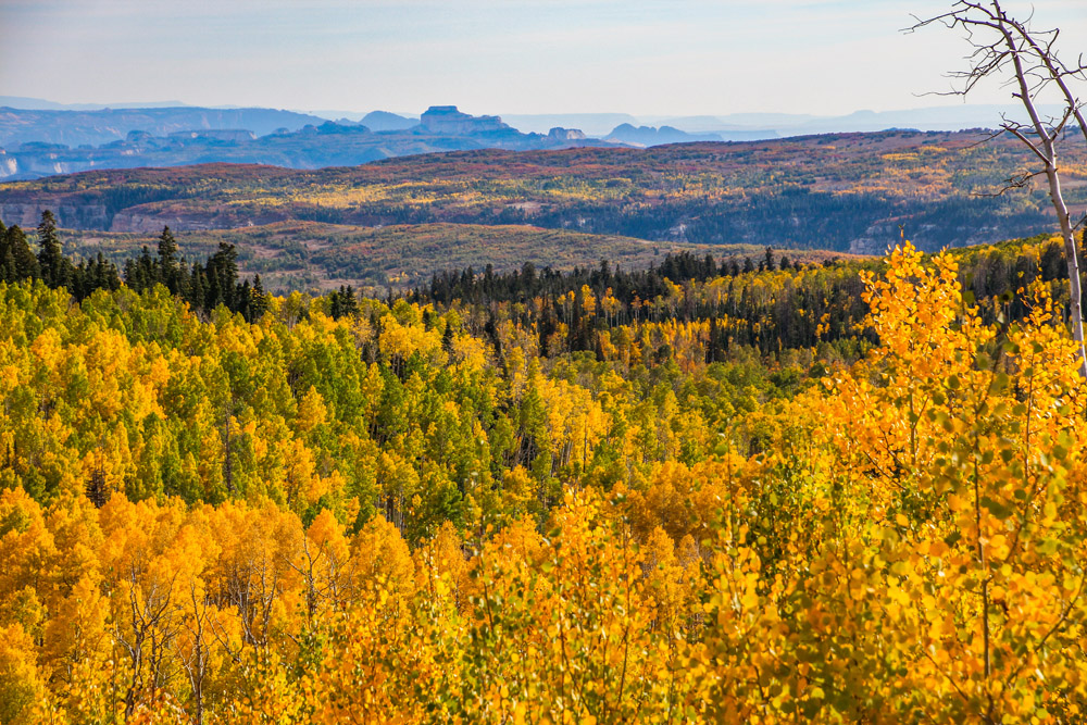 Cedar Mountain Fall Colors Tour
