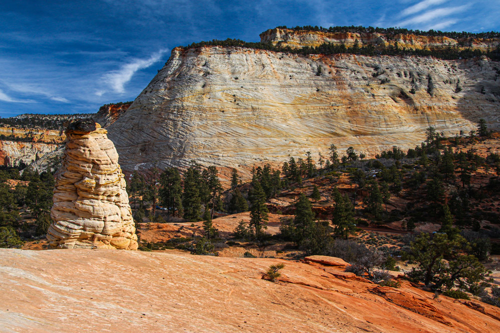 Zion National Park Half Day & Full Day Tours