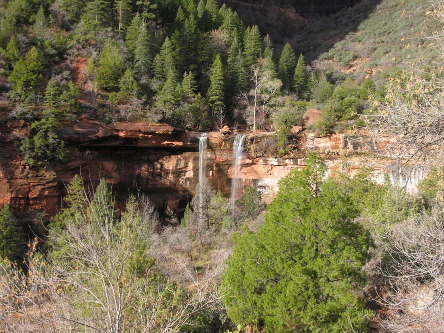 Zion National Park Half Day & Full Day Tours