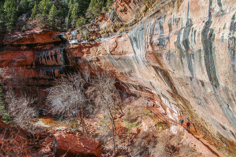 Zion National Park Half Day & Full Day Tours