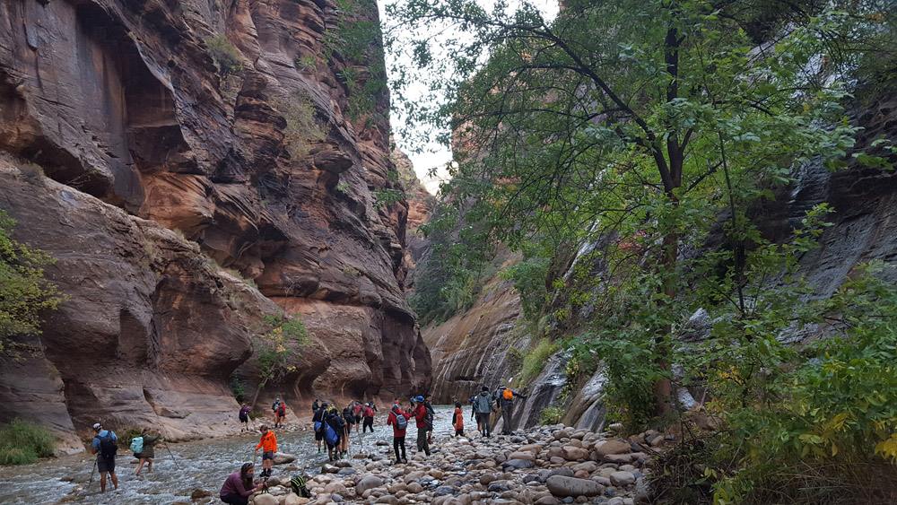 Zion National Park Narrows Guided Tour