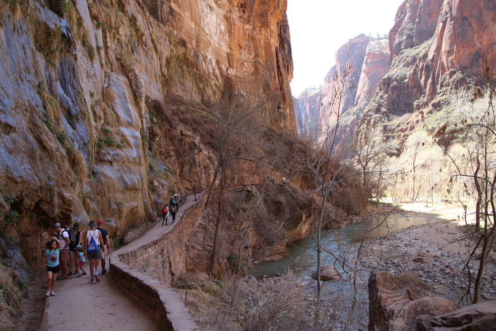 Zion National Park Half Day & Full Day Tours