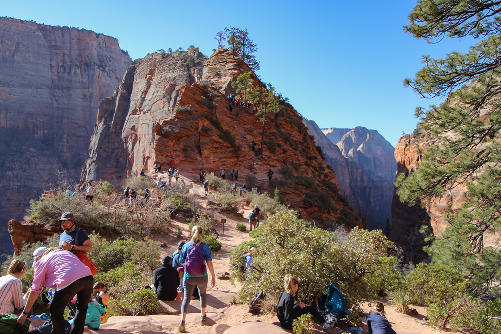 Zion National Park Half Day & Full Day Tours