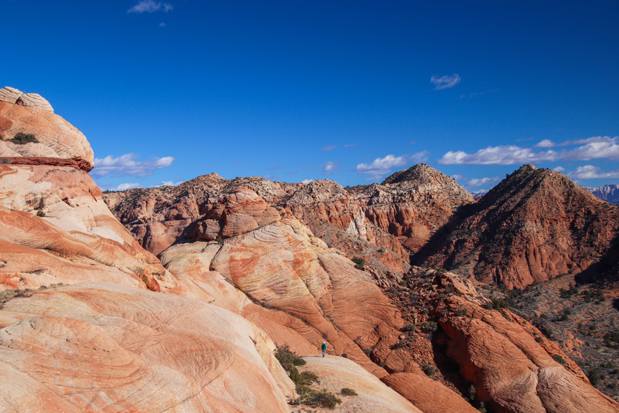 Yant Flat & Candy Cliffs Guided Tour