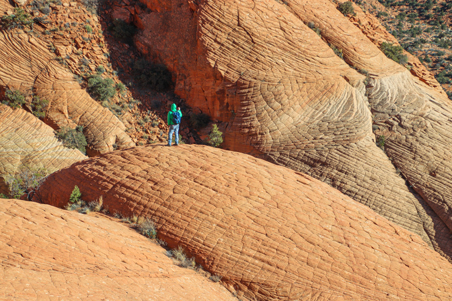 Yant Flat & Candy Cliffs Guided Tour