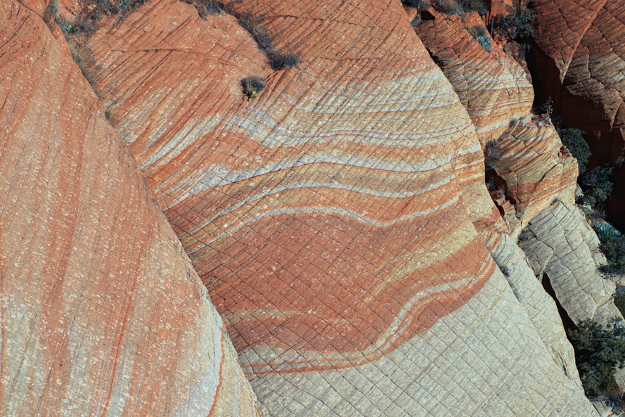 Yant Flat & Candy Cliffs Guided Tour