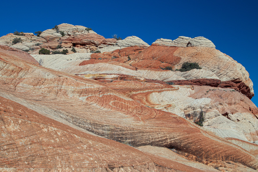 Yant Flat & Candy Cliffs Guided Tour