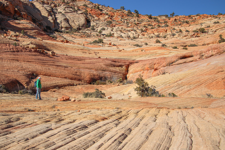 Yant Flat & Candy Cliffs Guided Tour